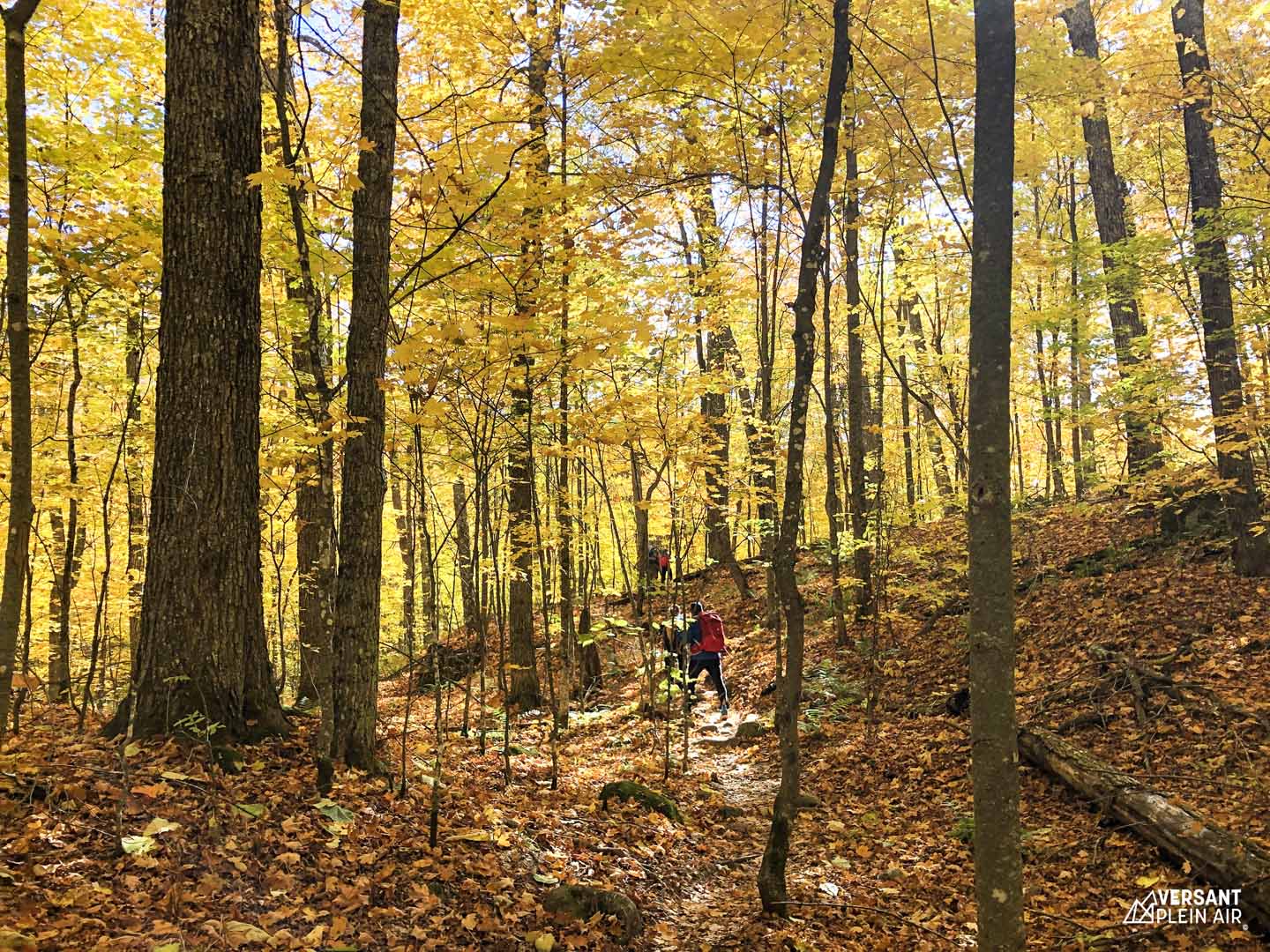 Jay Mountain – Adirondacks, New York – Versant plein air