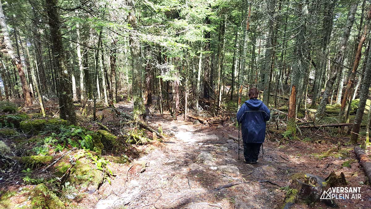Mont Pinacle – Région des Cantons-de-l’Est – Versant plein air