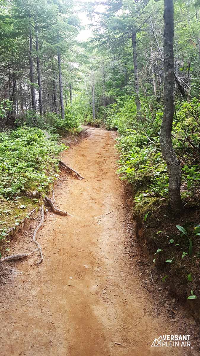 Acropole des Draveurs – Parc des Hautes-Gorges – Versant plein air