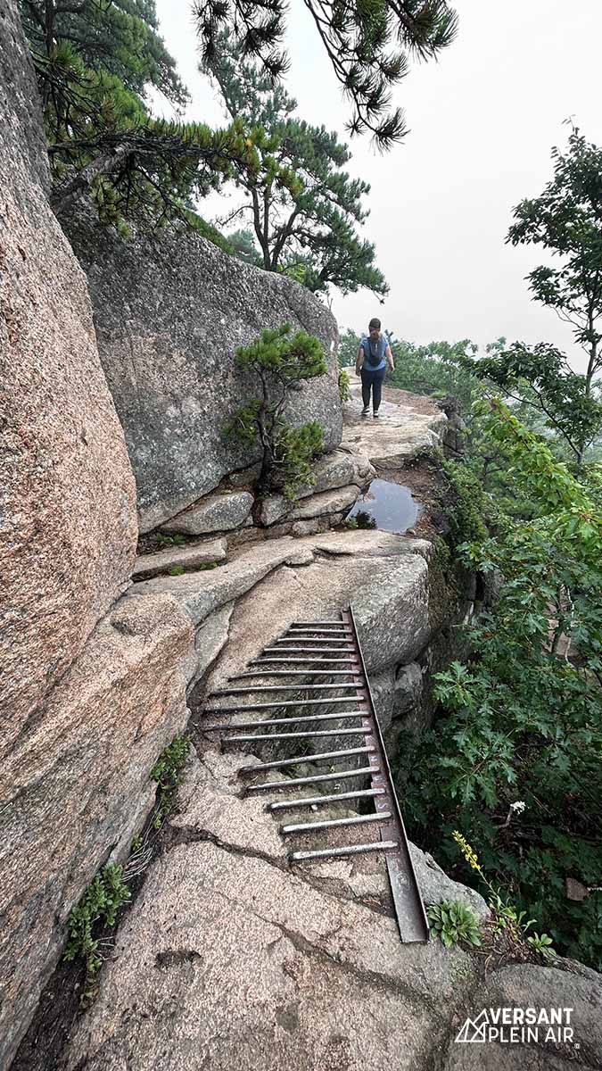 The Beehive loop – Parc national Acadia – Versant plein air