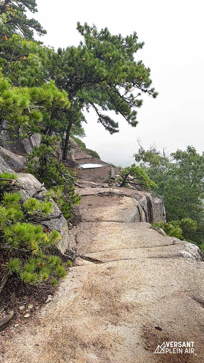 The Beehive loop – Parc national Acadia – Versant plein air
