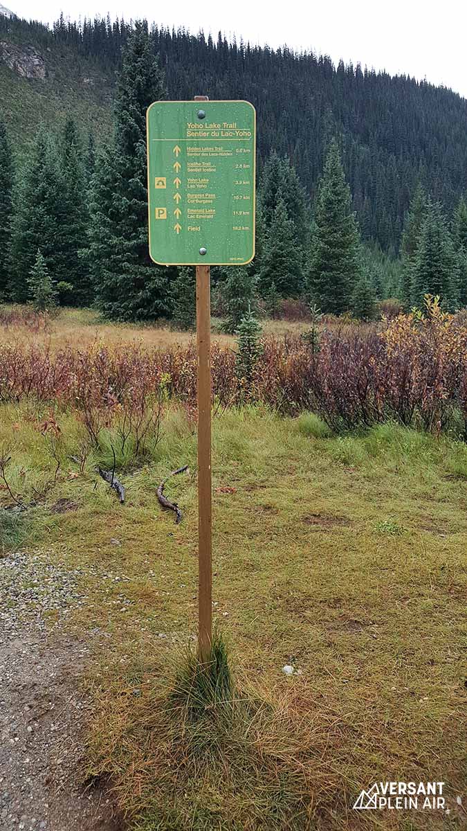 Iceline Trail – Parc national Yoho – Versant plein air