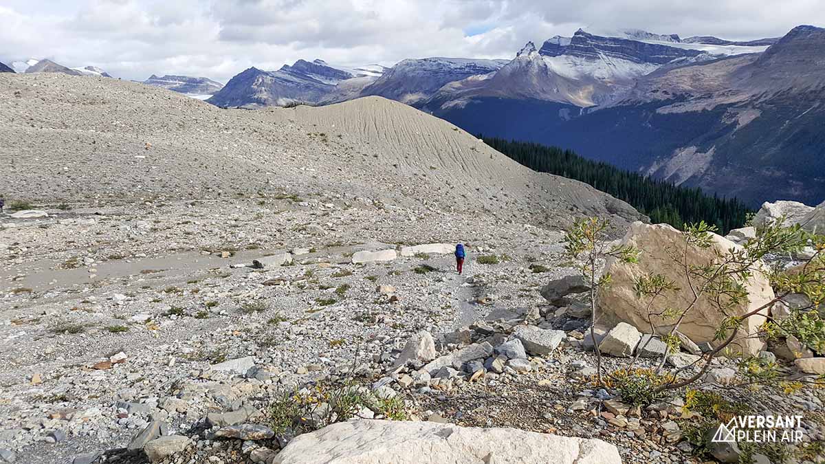 Iceline Trail – Parc national Yoho – Versant plein air