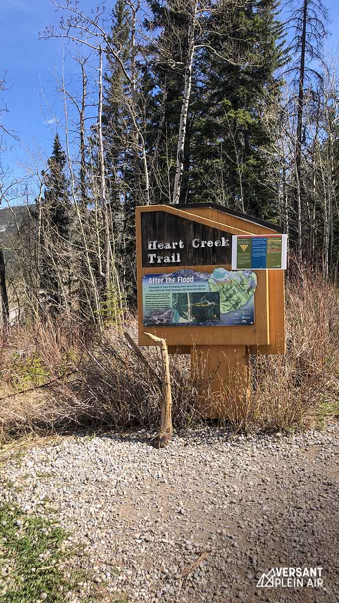 Heart Creek trail – Kananaskis, Alberta – Versant plein air