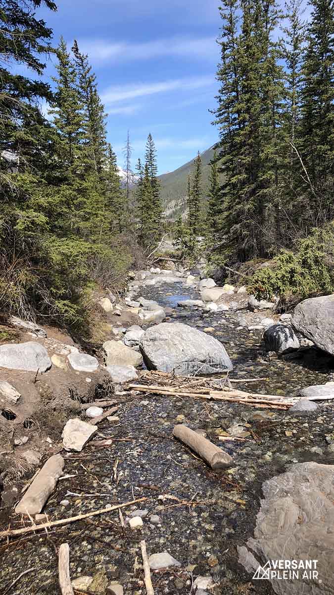 Heart Creek trail – Kananaskis, Alberta – Versant plein air