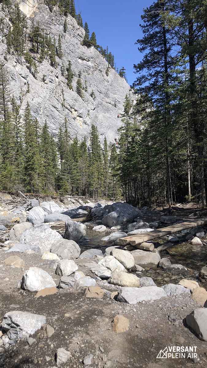Heart Creek trail – Kananaskis, Alberta – Versant plein air