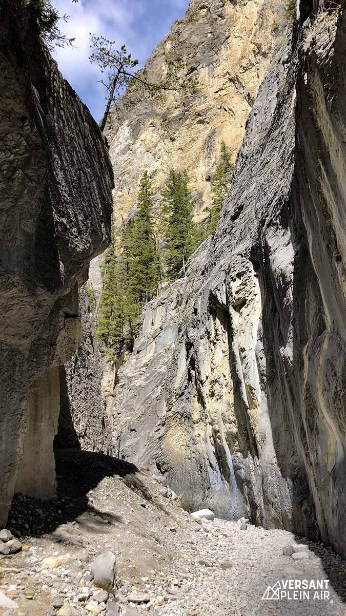 Grotto Canyon Creek trail – Kananaskis, Alberta – Versant plein air